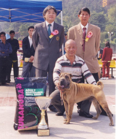 BOB WINNER - BEIJING CHINA DOG SHOW